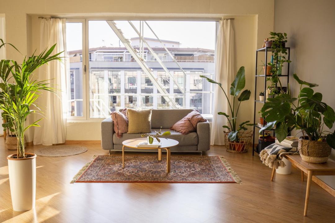 El apartamento que ha alquilado en Lisboa ya ha dado la vuelta al mundo ...