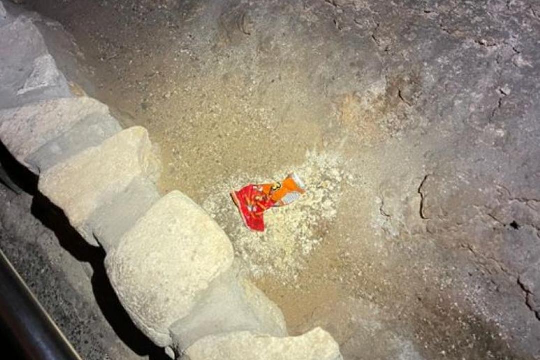 Una simple bolsa de Cheetos trastoca por completo el ecosistema de una ...