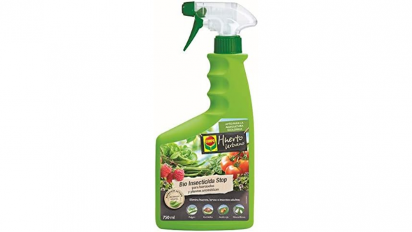 Trucos para que no se mueran las plantas en casa