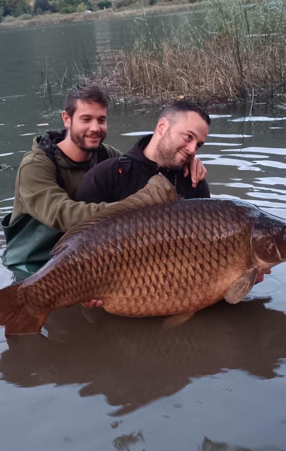 Encuentran un enorme pez y resulta ser una carpa de récord