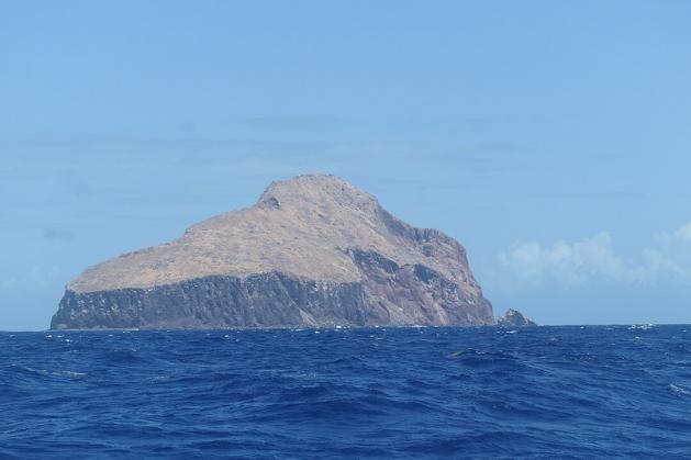 La isla lunar llena de ratas negras se convierte en un vergel en tiempo ...