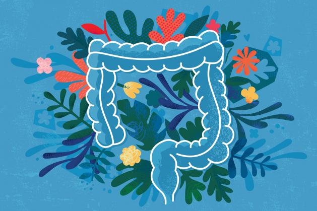 Los cuatro pilares innegociables para gozar de la mejor salud intestinal