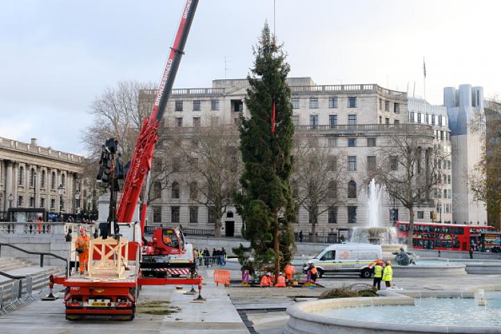 La plaza más conocida de Europa presenta su árbol de Navidad y desata ...