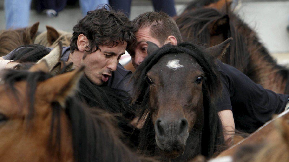 Rapa das Bestas de Sabucedo 2025: programa y horario del 4 al 6 de ...