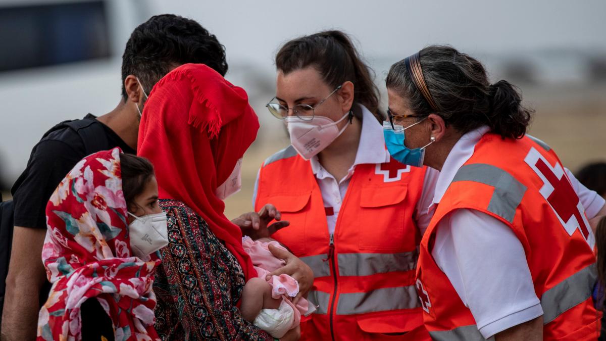 Valentín Fuster, cardiólogo: 'La gente más feliz es la que da, no la ...