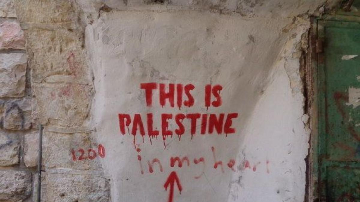 Día internacional del voluntariado: la realidad transformable