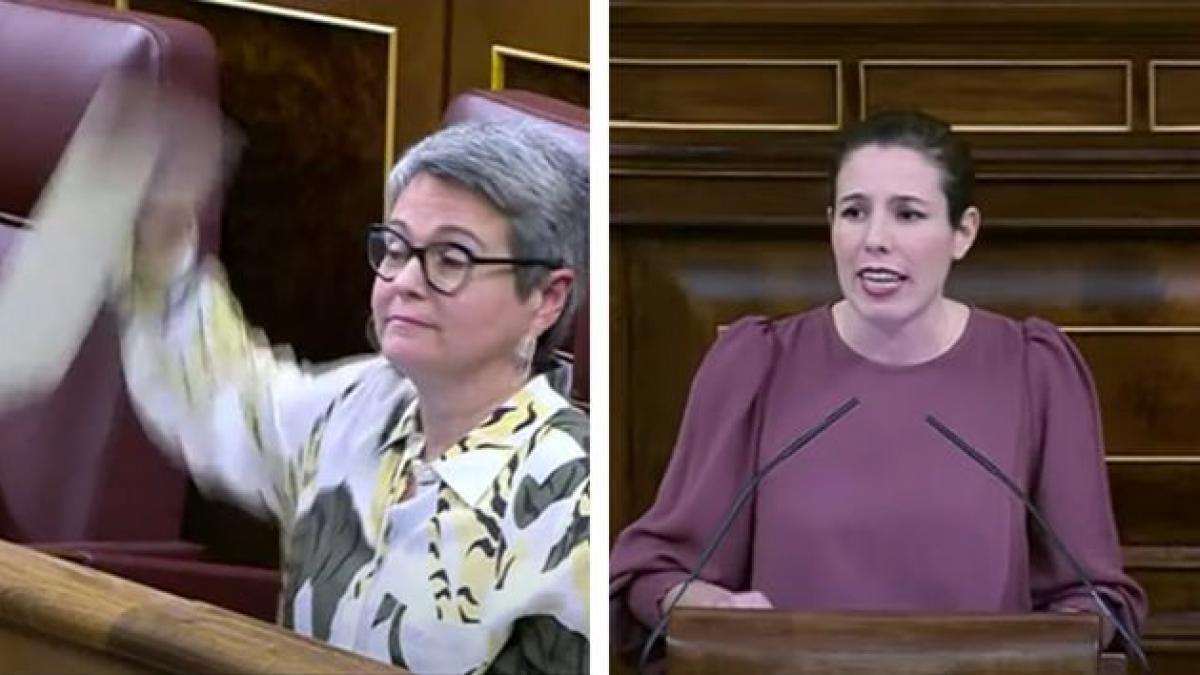 Llaman al orden a la diputada de ERC María Dantas por sacar esta foto ...