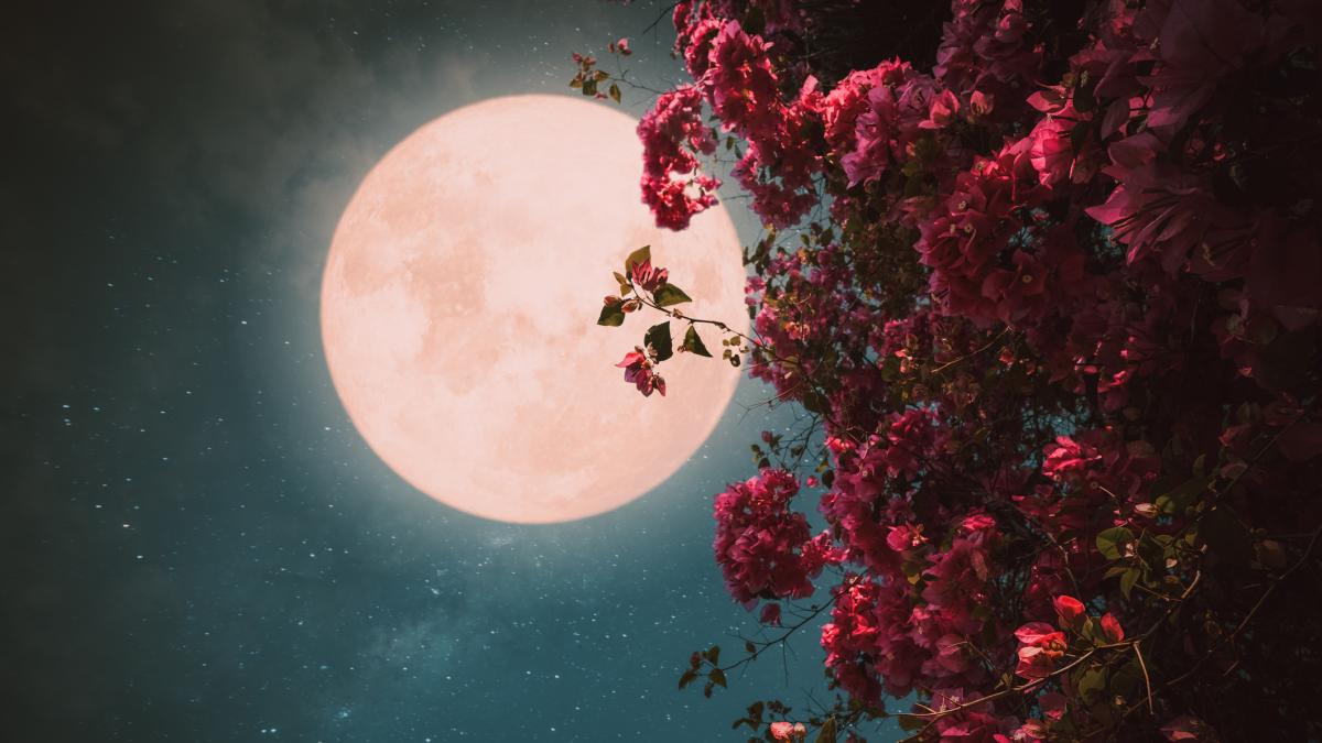 Luna de Gusano 2024: hora y cómo ver la luna llena de marzo desde España