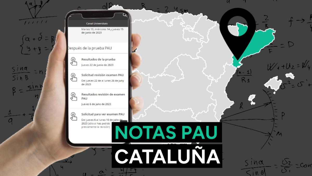 Notas PAU Cataluña 2025: resultado de los exámenes