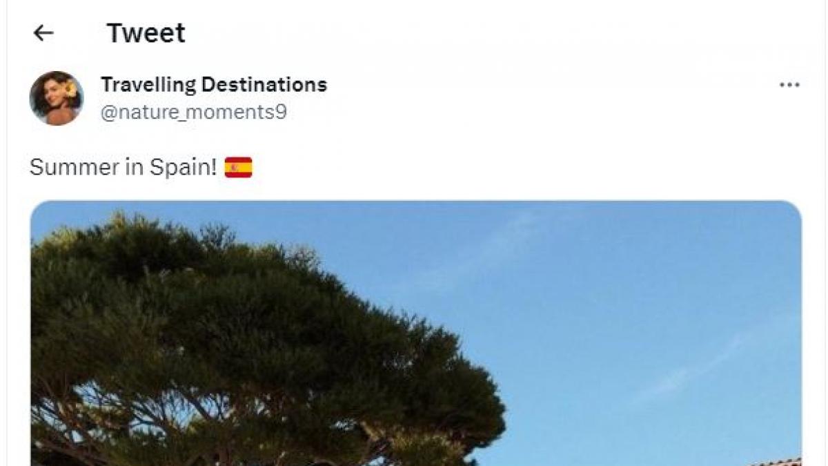 Una británica ilustra con esta foto el verano en España y las ...