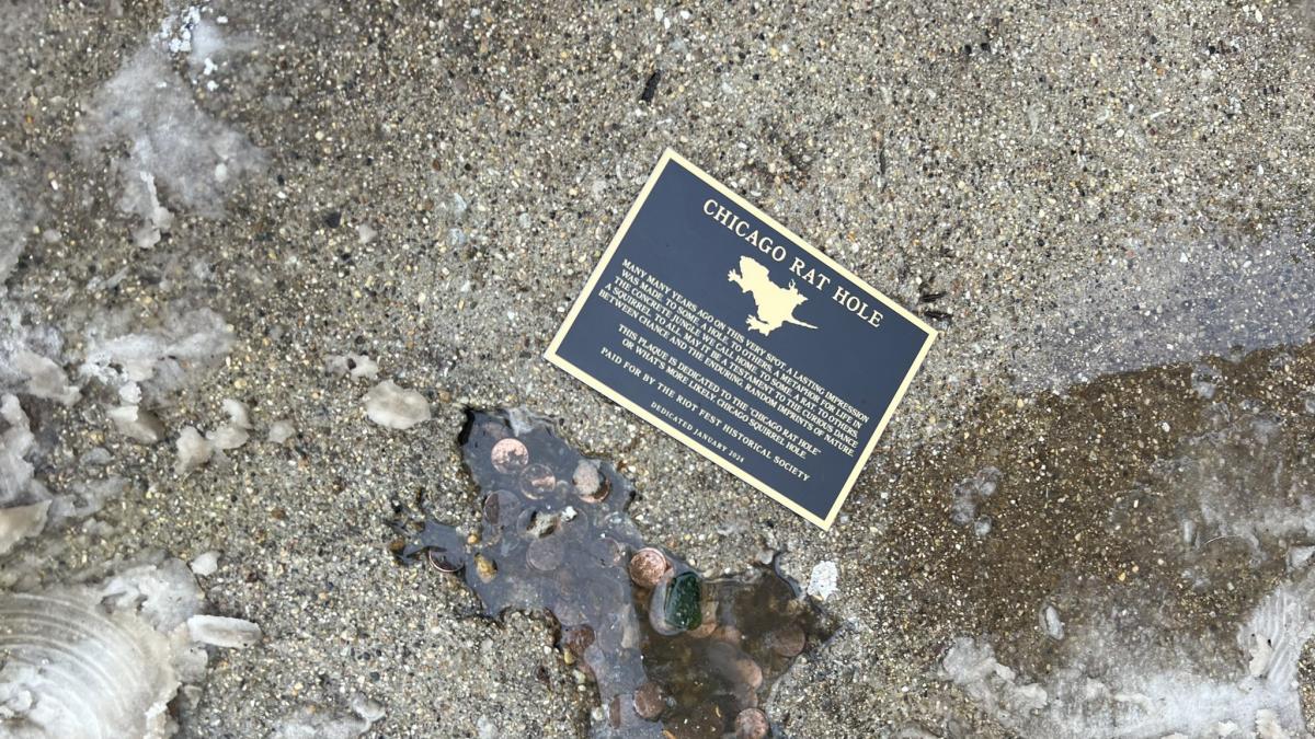 El agujero de la rata: la nueva curiosa atracción turística de Chicago ...