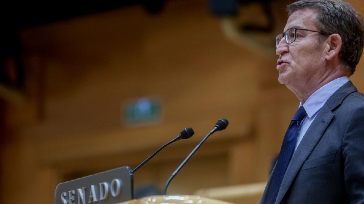 El PP llevará al Senado una ley para desalojar okupas en 24 horas