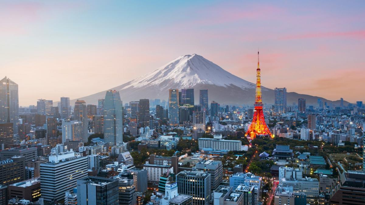 Un español va a Japón y alucina al encontrarse con un perro del futuro