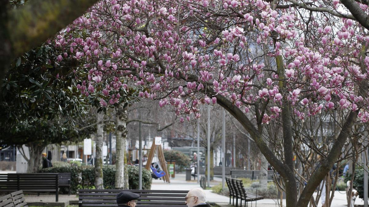 'La primavera la sangre altera': la verdad científica de este mito