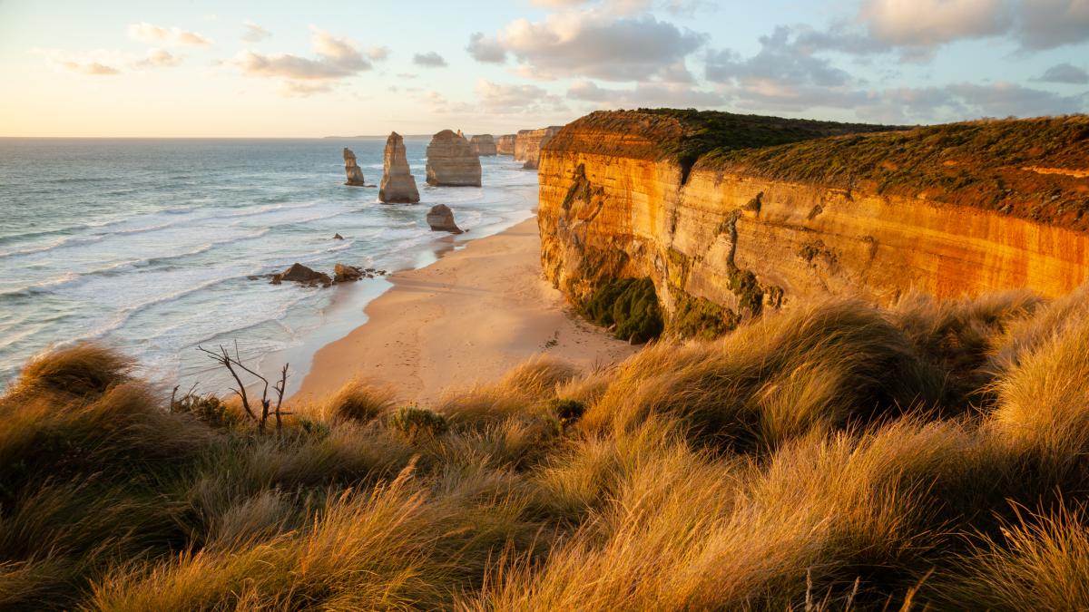 Logran fotografiar a un animalillo australiano tan raro que sigue siendo un enigma para la ciencia