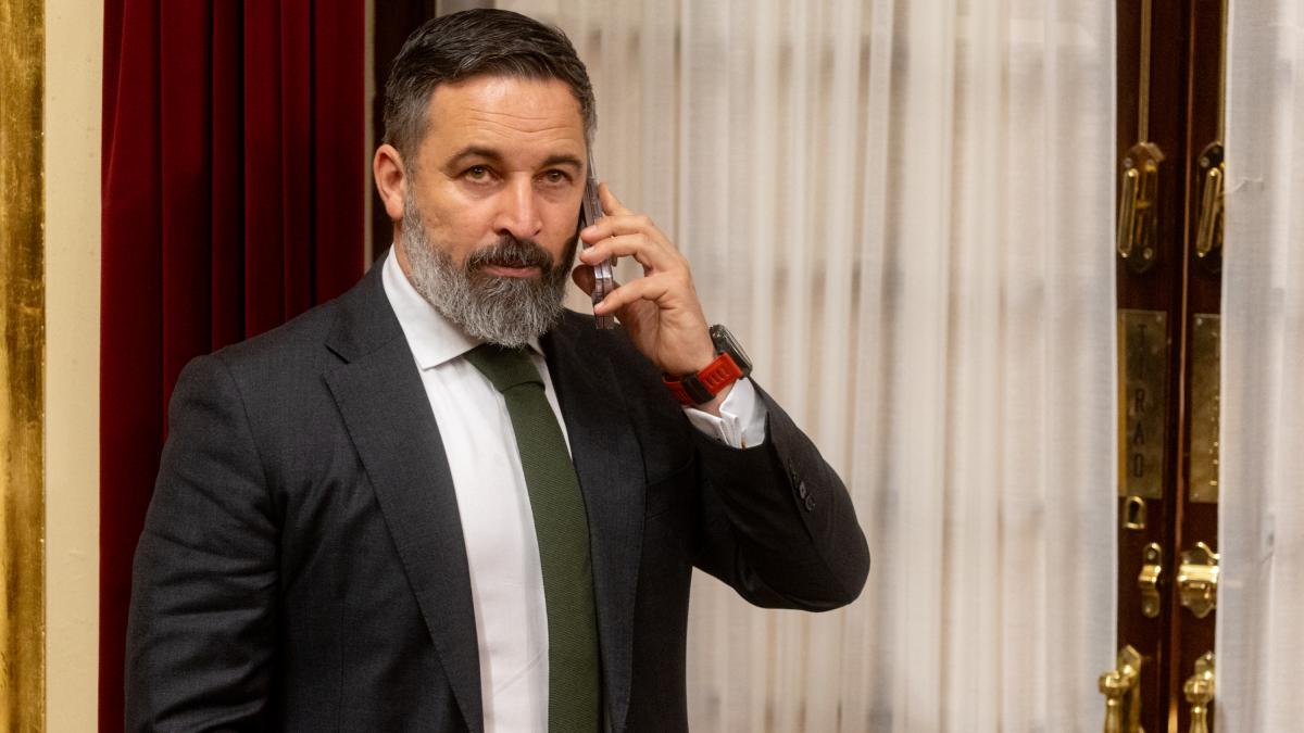 El Tribunal de Cuentas multa a Vox con más de 860.000 euros por ...