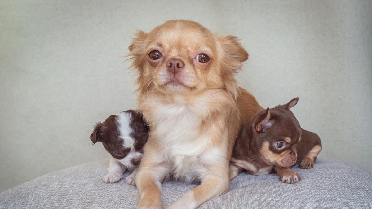 Una pareja a punto de perder su casa por una práctica prohibida por la ...