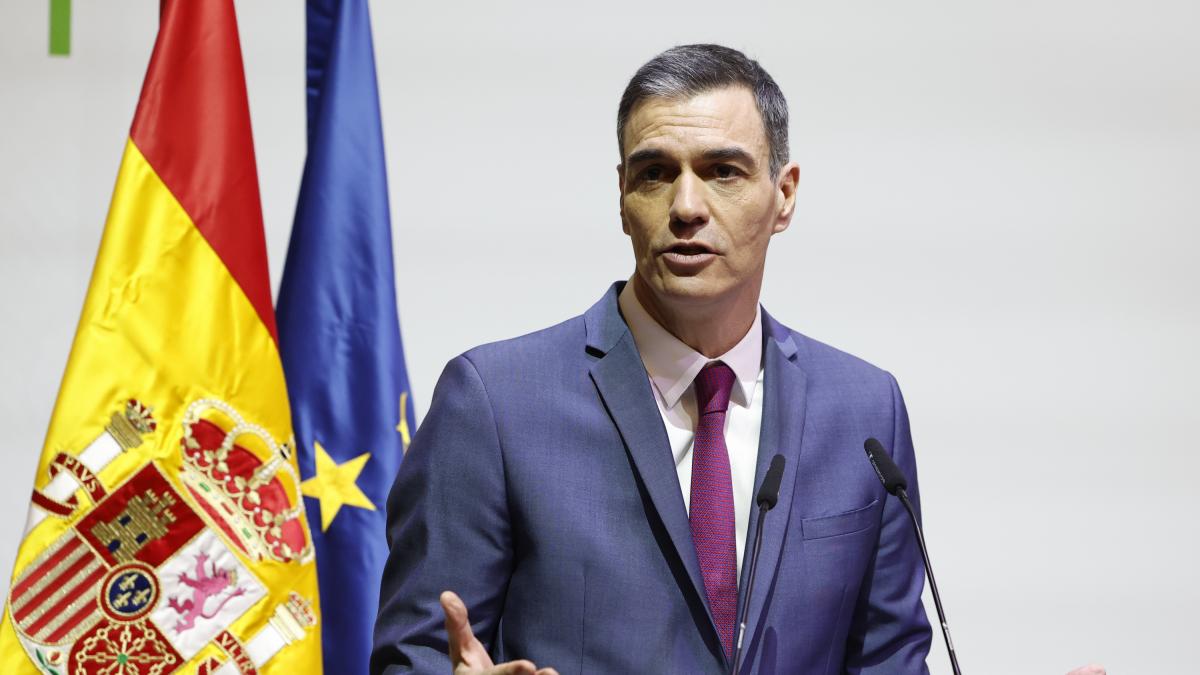 Pedro Sánchez insta a tomar 'de nuevo las calles' este 8M: 'Porque el ...