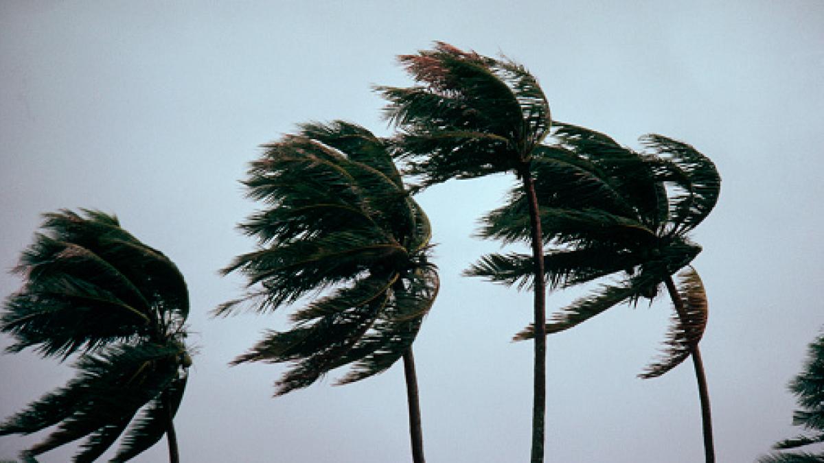 La AEMET tira por la borda el récord histórico de viento registrado el ...