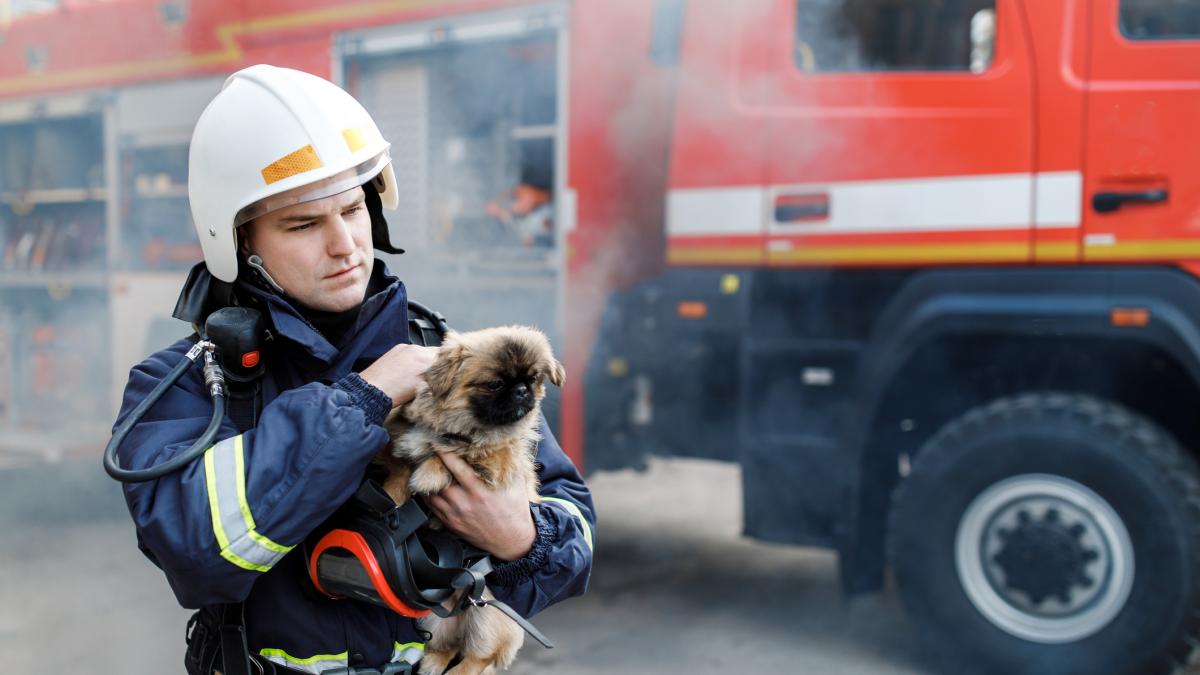 El simple gesto que pone en alerta a los bomberos para salvar a tu ...