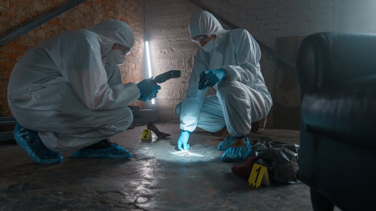 Cuánto gana un perito en España en 2025