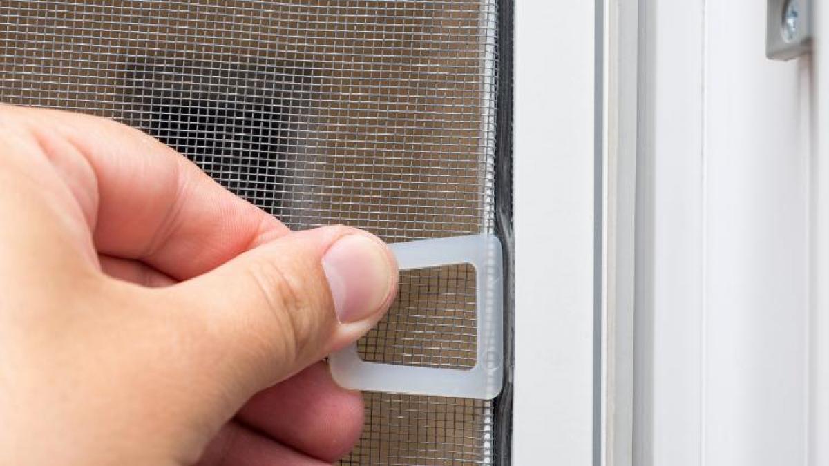 La mosquitera perfecta existe: arrasa en Amazon, es adhesiva y su ...