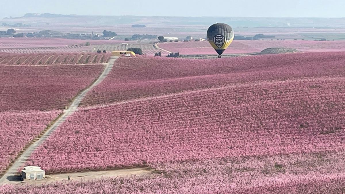 El interminable mar rosa español que se extiende hasta donde alcanza la ...