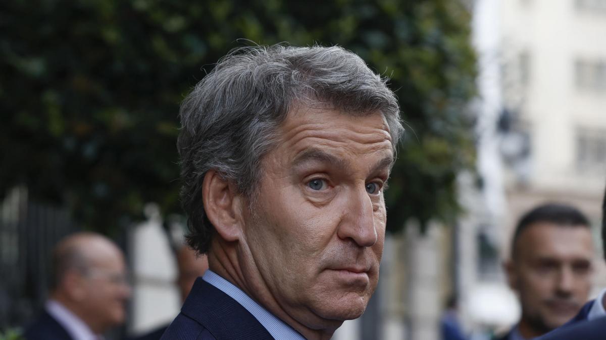 Feijóo presenta más de 94.000 avales para revalidar su liderazgo en el PP en el próximo Congreso ...