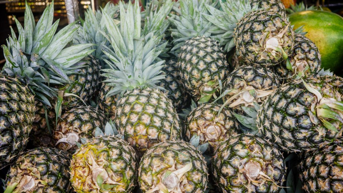 Piden revisar el interior de una de las frutas reinas del verano en ...