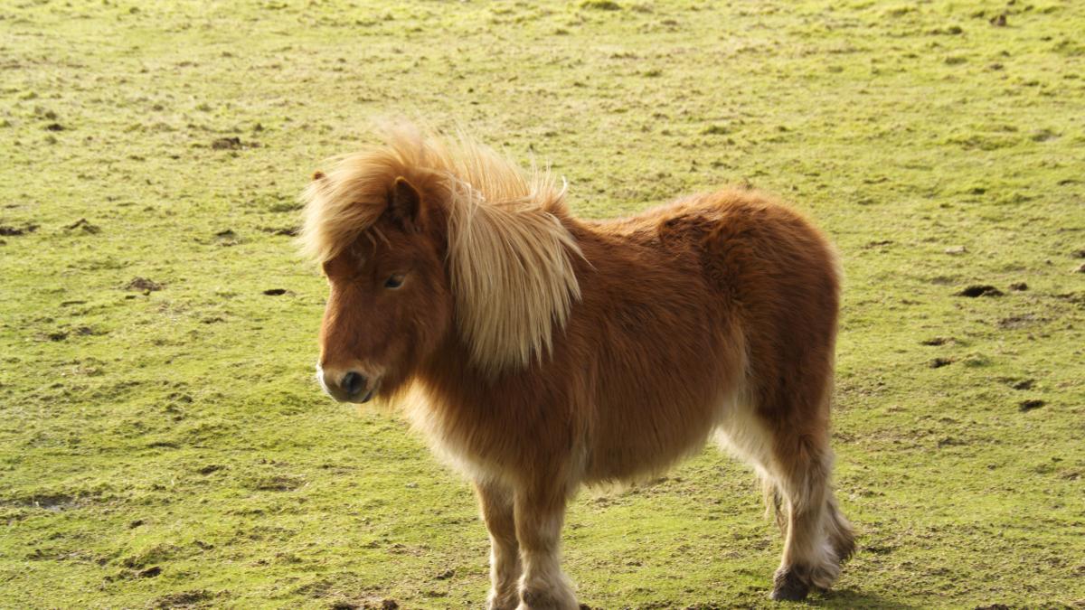 Pocos saben que el elemento más característico de los baños de España ...