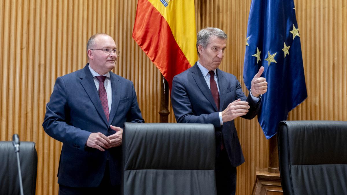 Feijóo ordena a Tellado sondear a los partidos para una moción de censura tras entrar Cerdán en ...