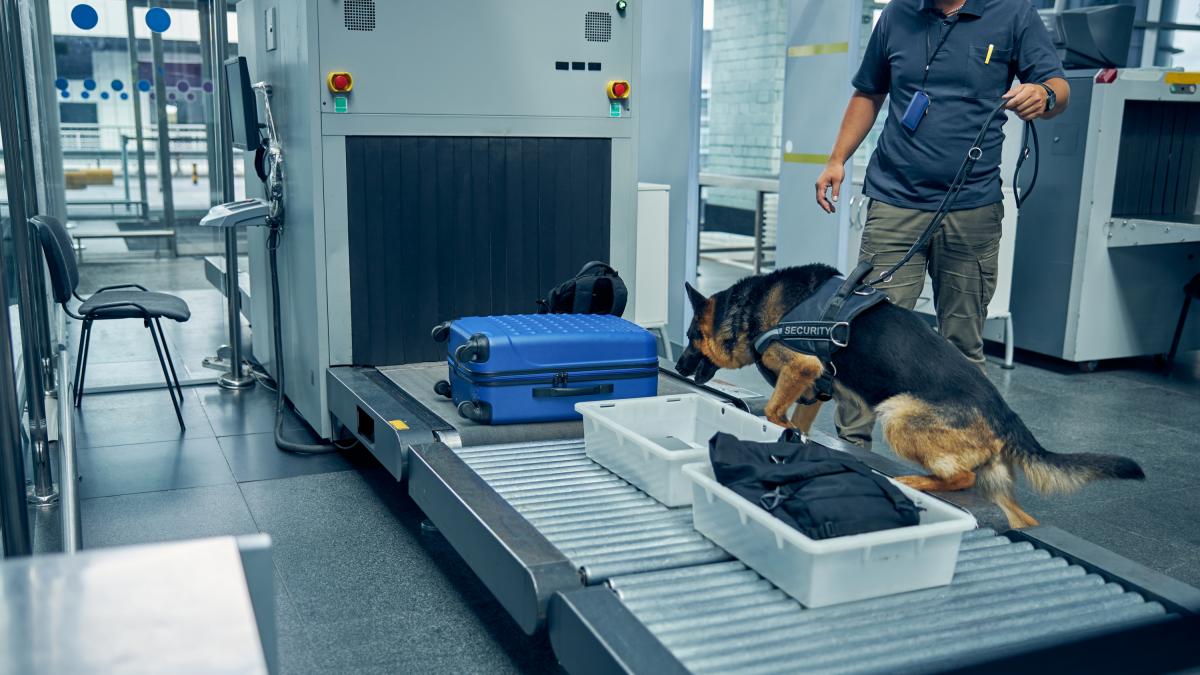 Un perro de aduanas se niega a acercarse al camión y los agentes ...