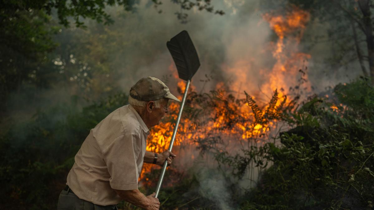 Última hora de los incendios, en directo: el fuego no da tregua en León ...