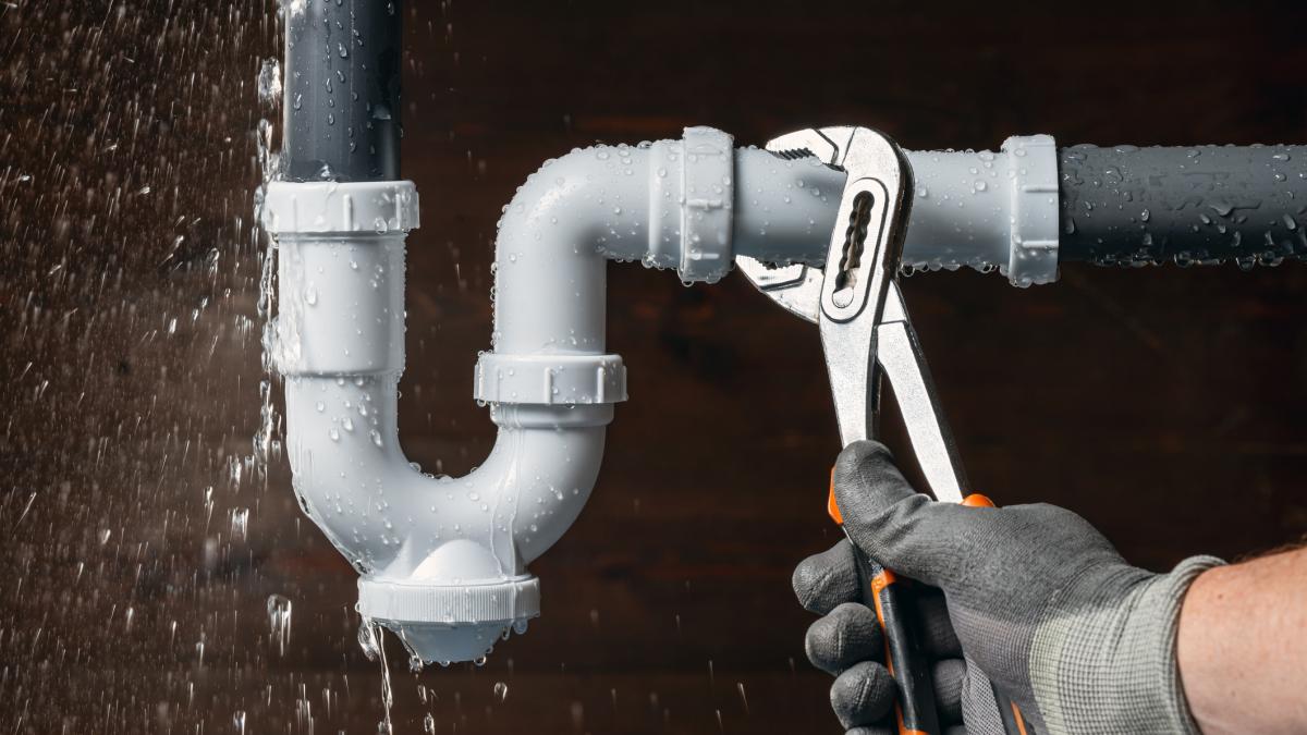 José Elías, sobre el futuro del empleo con la IA: 'Un fontanero cobrará 50, 60 o 200 euros la hora'