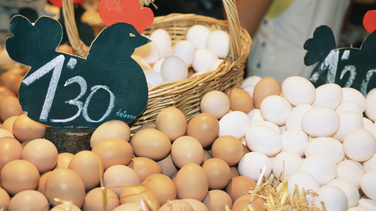 ¿Qué está pasando con el precio de los huevos en España? Spoiler: la ...