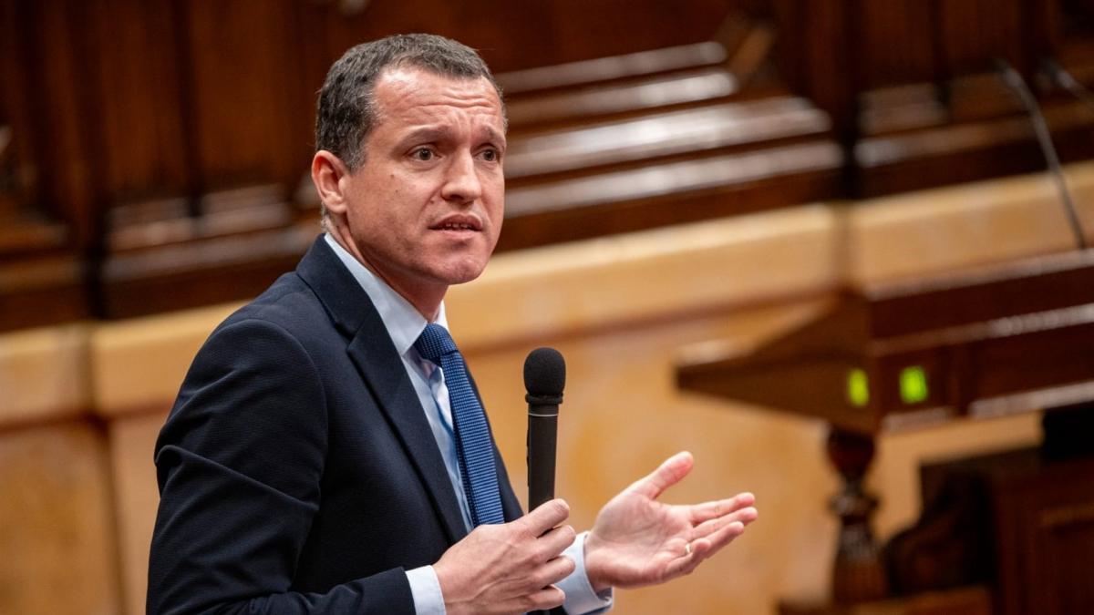 La peste porcina africana incide en Cataluña: detectados cuatro nuevos ...