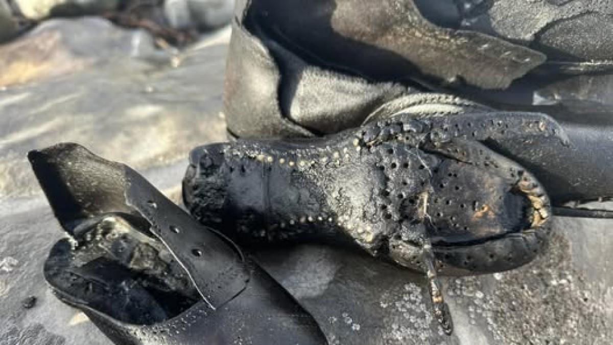 Topan con cientos de objetos misteriosos en la playa y acude la ...