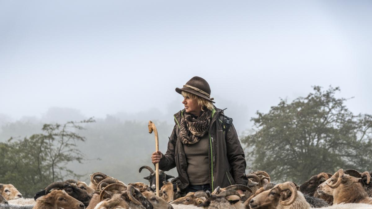 Elsa Fernández, pastora ecuatoriana de 60 años con 300 cabras en la ...