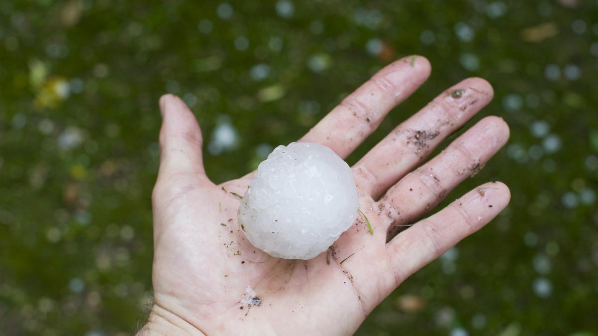 ¿Te sorprende el tamaño de los granizos cuando hay tormentas? Con el ...