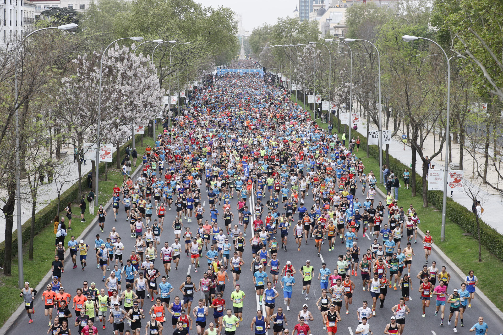 Caos en la salida del 10K de Castellón: una impactante caída múltiple ...