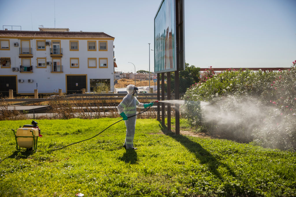 La vacuna del virus del Nilo estará lista en un periodo de tres a ocho años