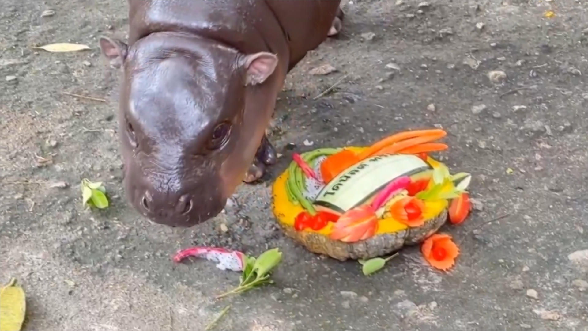 Elecciones Estados Unidos 2024: Donald Trump gana a Harris, resultados ...