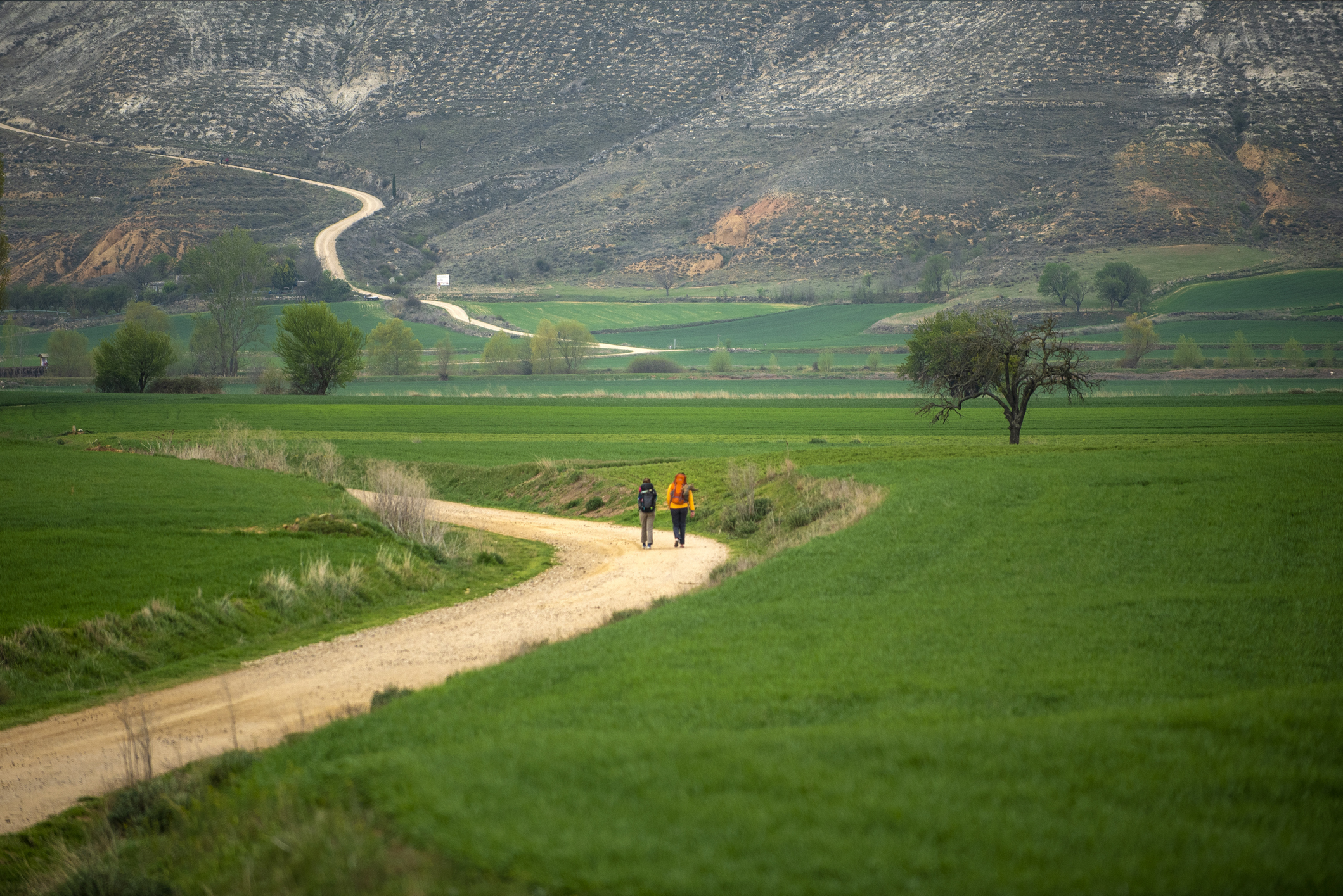 Camino de Santiago: etapas y tramos de la Ruta del Mar de Arousa y Río Ulla