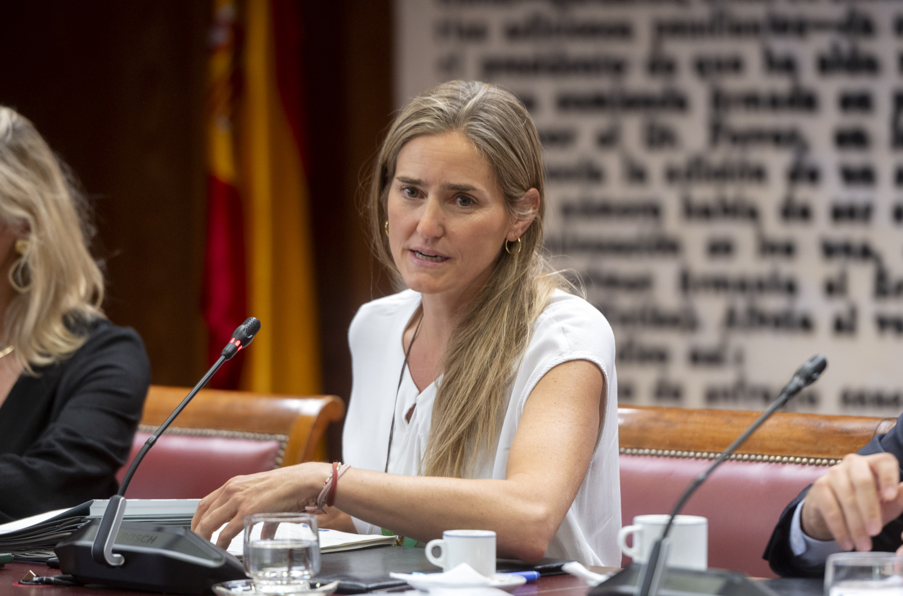 Aagesen reivindica el despliegue 'sin precedentes' contra los incendios ...