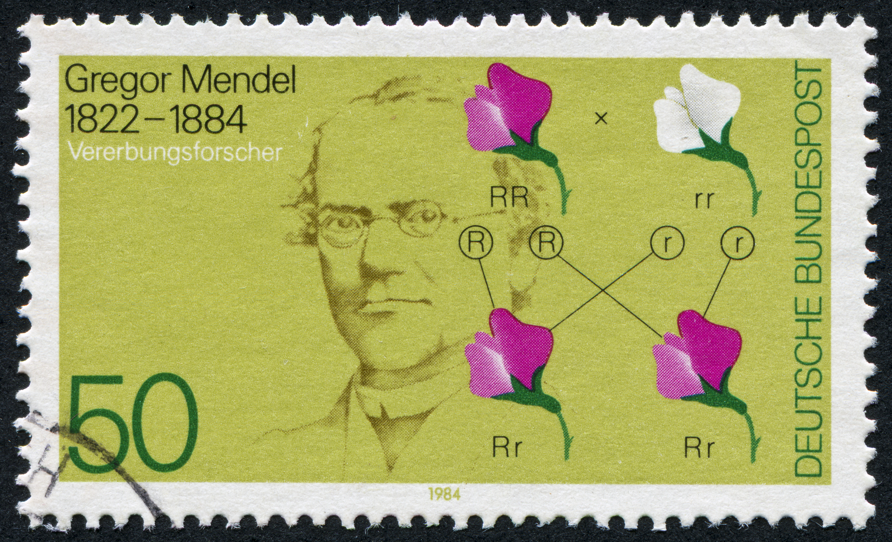 Gregor Mendel, científico: 'El valor y la utilidad de cualquier ...