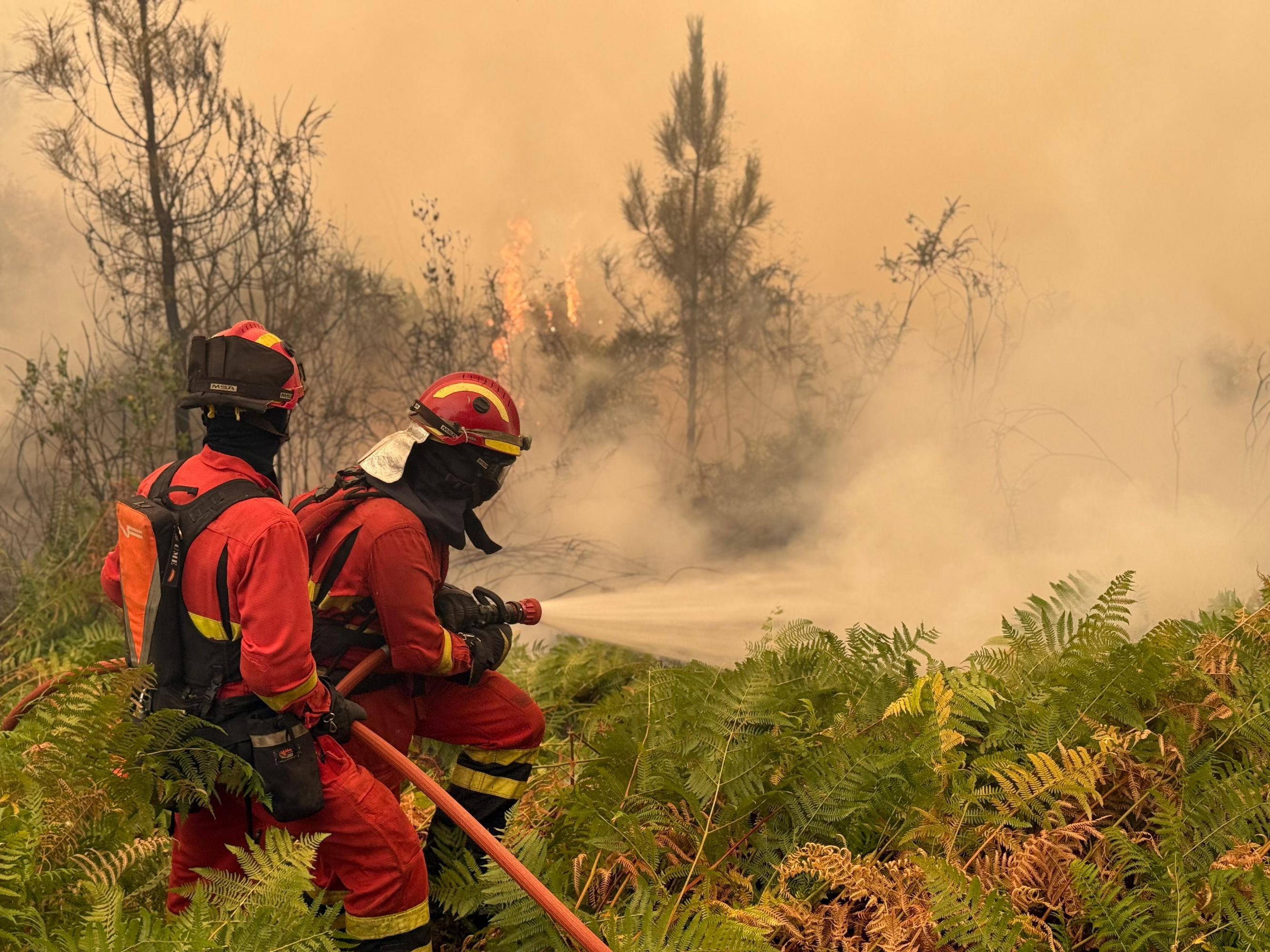Cinco medios aéreos combaten un incendio forestal en Estivella mientras ...