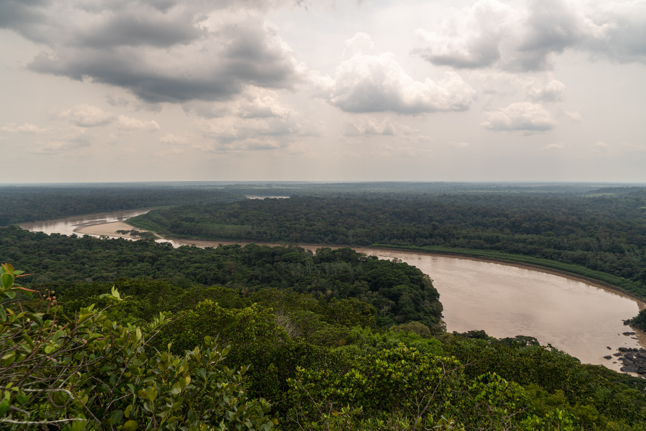Hace 3.000 años en plena Amazonía: un láser revela bajo la selva una ...